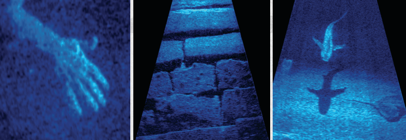 ARIS Imaging Sonars | Lighthouse Equipment