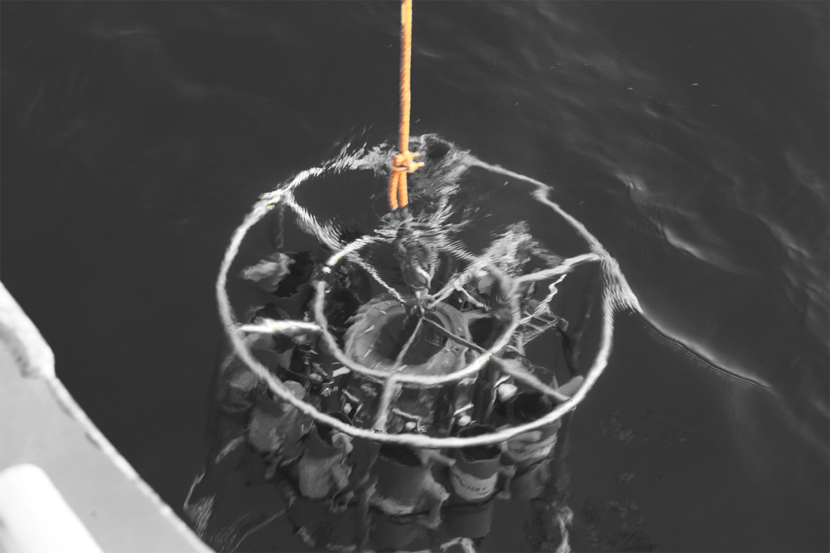 CTD-ROSETTE-TEST-ACQUA - Lighthouse